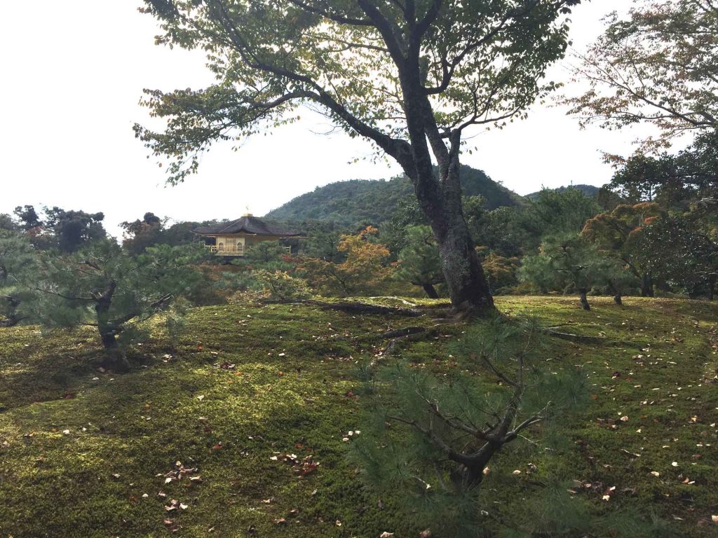 7 Easy Kyoto Walks