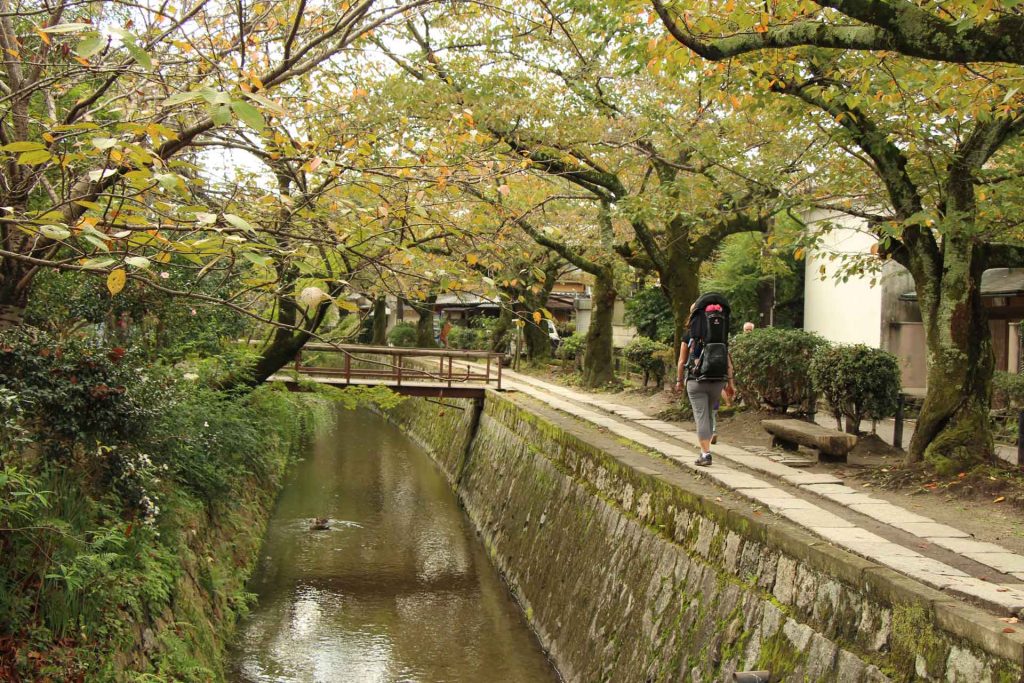 7 Easy Kyoto Walks