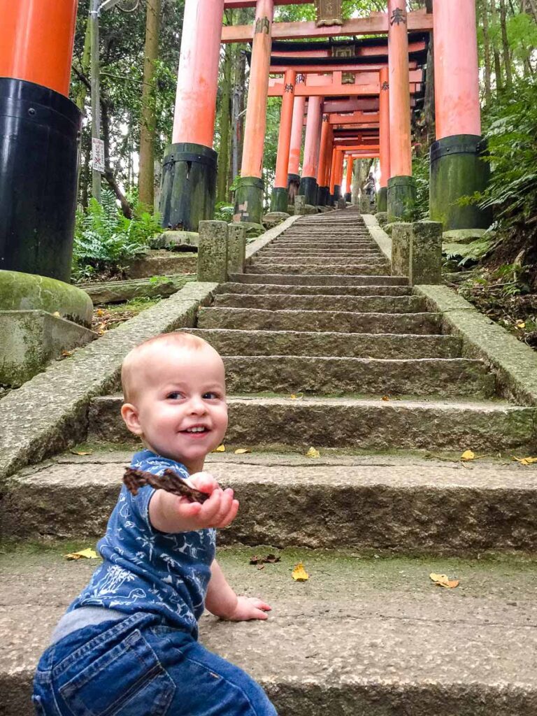 Best Toddler and Baby-Friendly Hikes Around the World