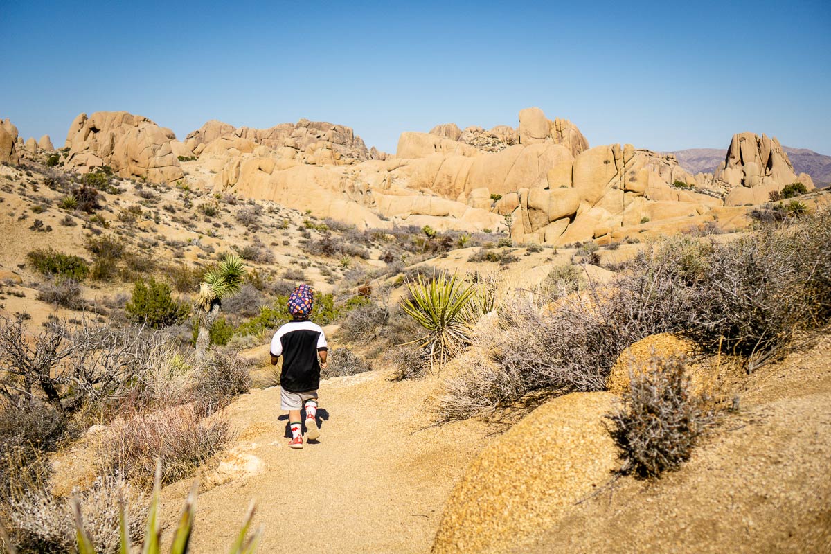21 Best Baby and Toddler Friendly Hikes in the USA