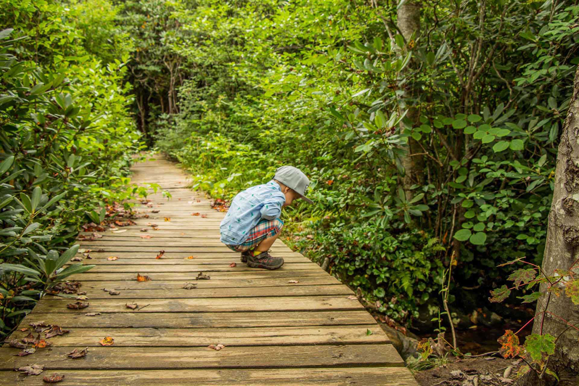 Hiking With Toddlers Baby Can Travel hiking-with-toddlers-baby-can-travel