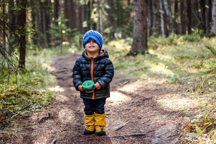 Best Toddler Hiking Gear