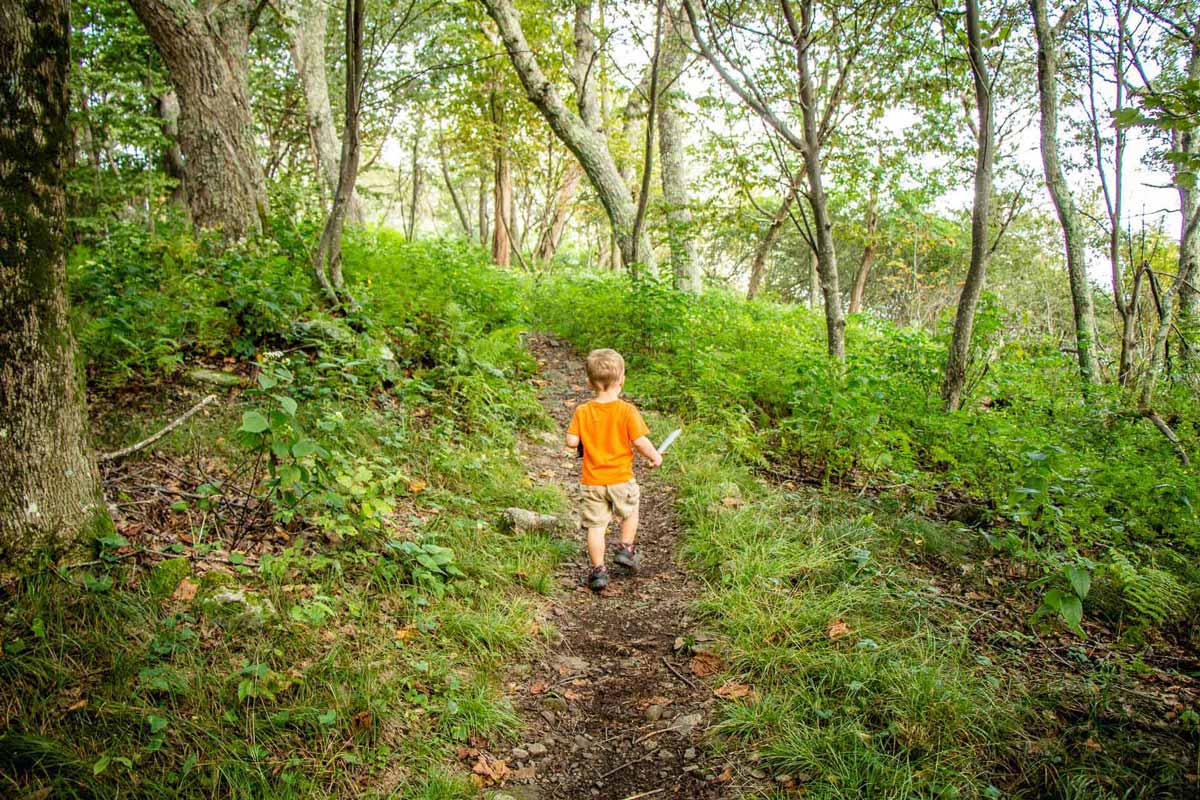 6 Toddler Friendly Hikes in Shenandoah National Park - Baby Can Travel