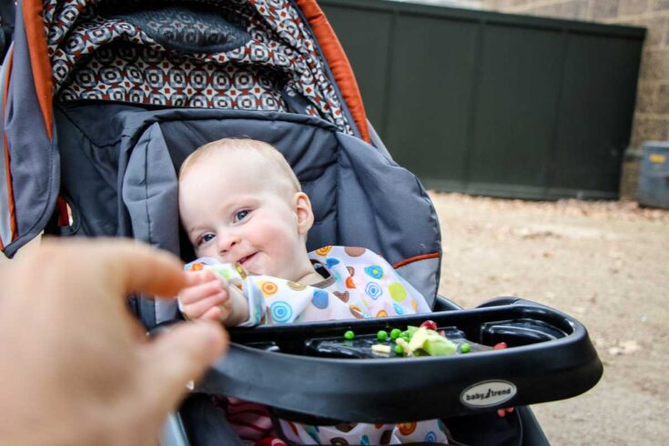 Practical Tips for Managing Baby Food While Traveling