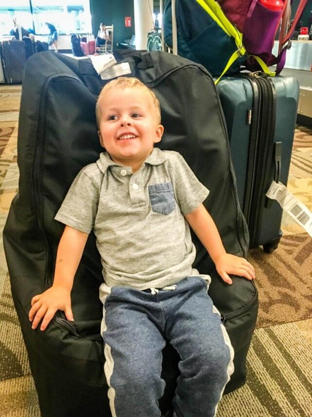 The 8 BEST Car Seat Travel Bags