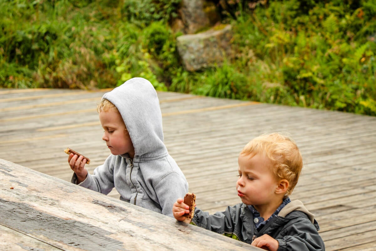 Expert Tips for a Road Trip with a Toddler