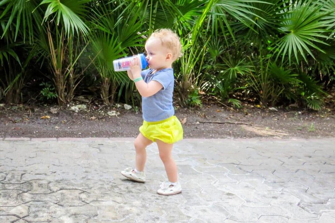 Best Toddler Travel Gear