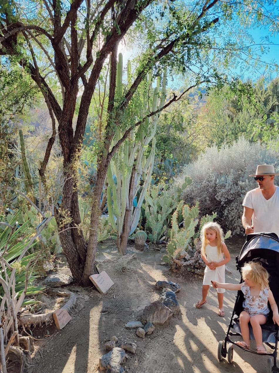Palm Springs with a Baby or Toddler