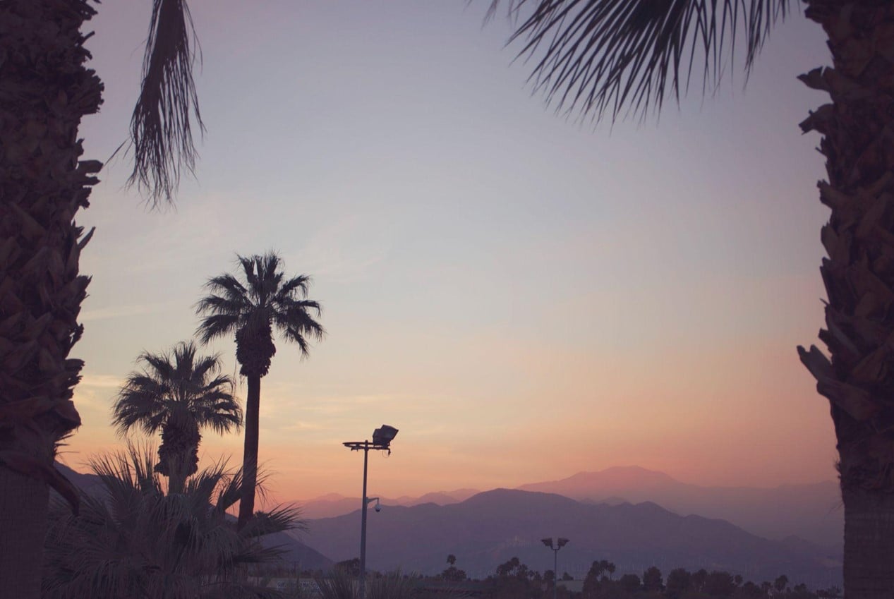 Palm Springs with a Baby or Toddler