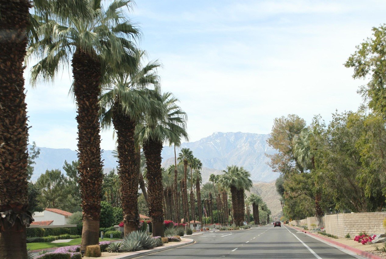 Palm Springs with a Baby or Toddler