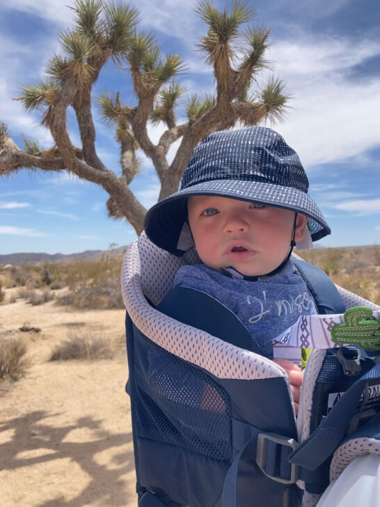 Glamping in Joshua Tree National Park with a Baby