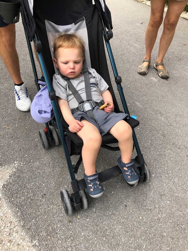 Traveling to Fort Myers & Naples with a Toddler